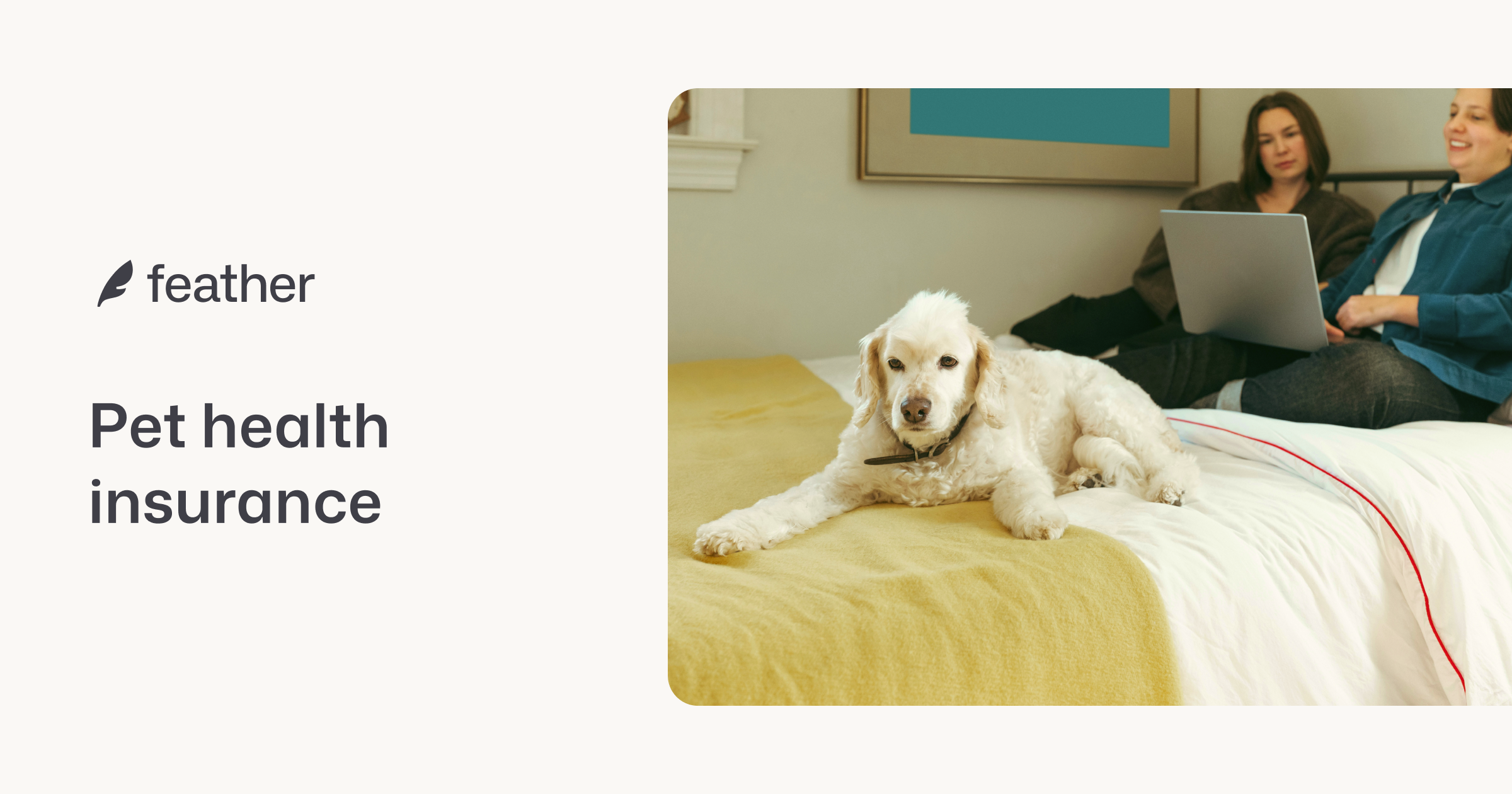 Pet Health Insurance in Germany | Feather