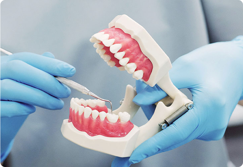 Orthodontics in Germany | Feather